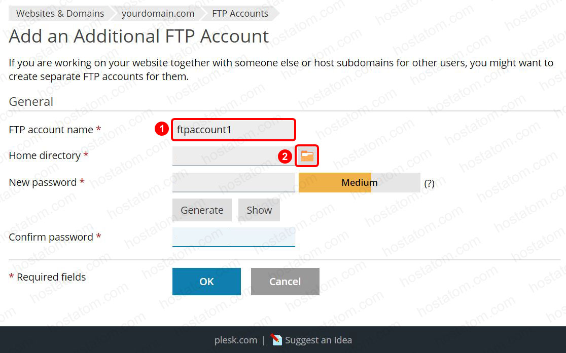 วิธีการเพิ่ม ลบ และแก้ไข FTP account ใน plesk - HostAtom Knowledge Base