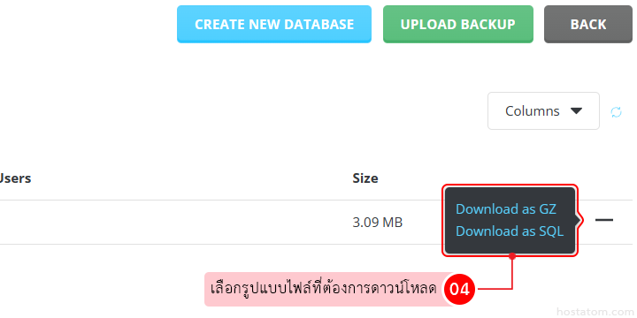 วิธีการสำรองฐานข้อมูลผ่าน DirectAdmin - HostAtom Knowledge Base